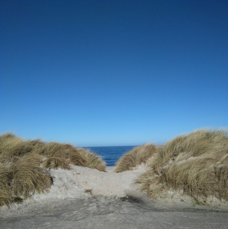 Ortsteil Heidkate – Gemeinde Wisch