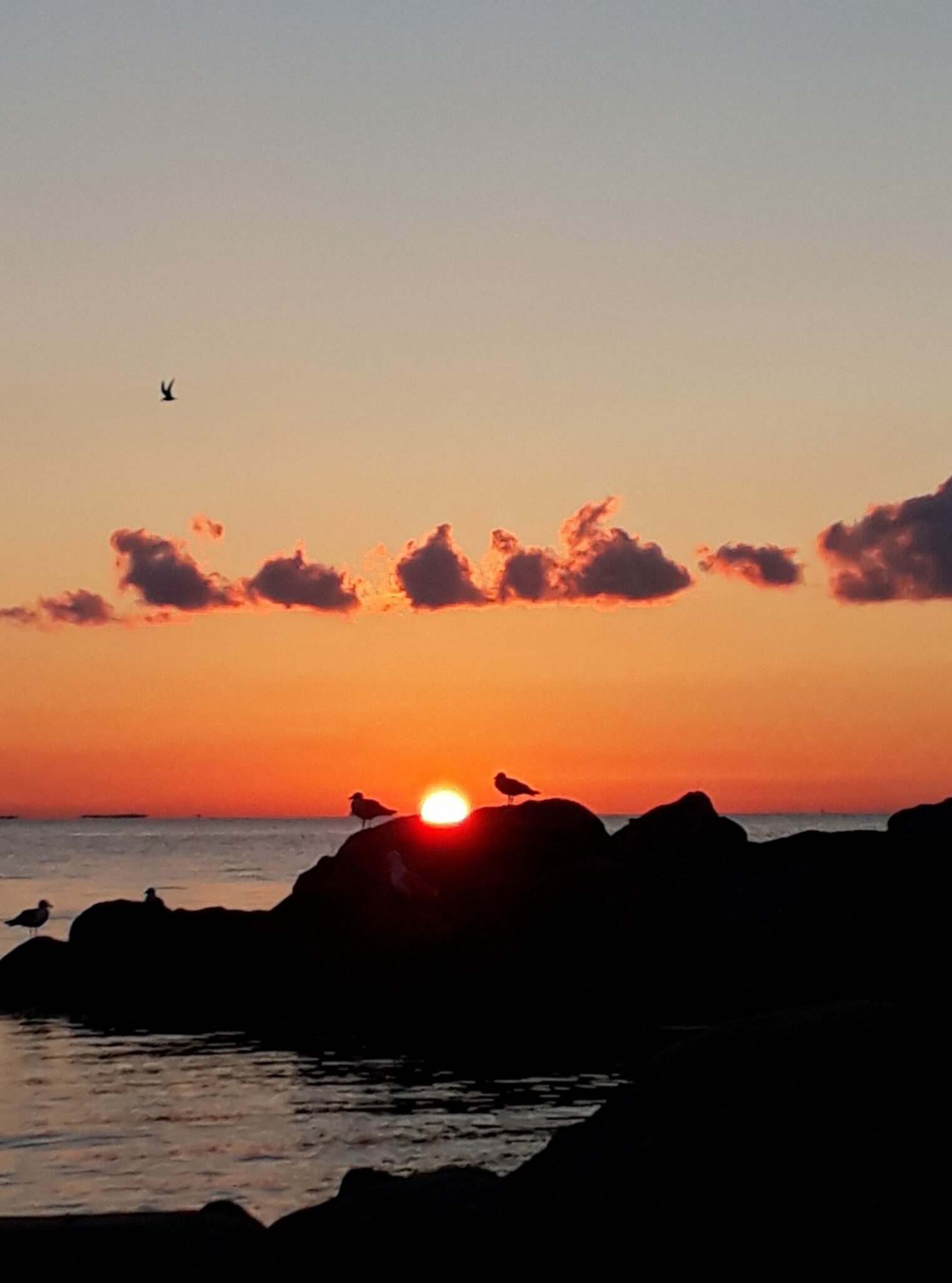 Ortsteil Heidkate – Gemeinde Wisch